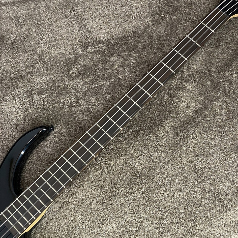 Tobias Toby Standard-IV Used Radiata Body Rosewood Fingerboard Black w ...