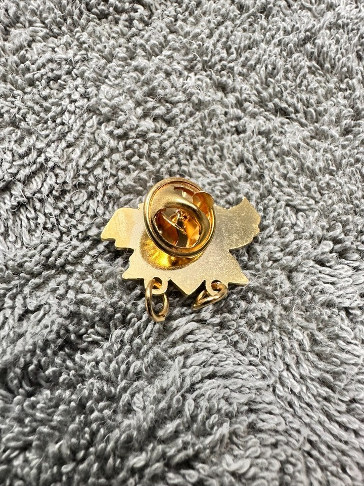 SDA Pathfinder Bible Experience Lapel Anchor Pin (PBE) | eBay