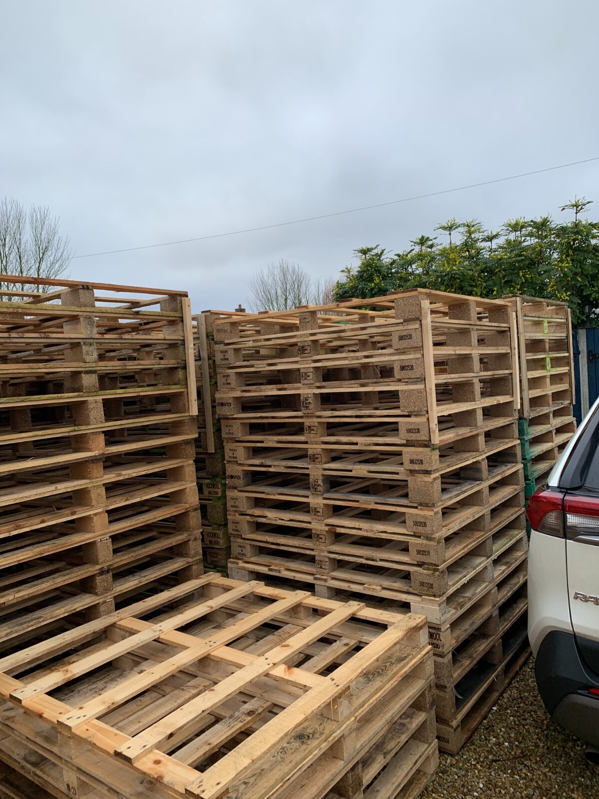 WOODEN PALLETS strong/clean sizes: EPAL, 120X80 120x100 & 120x120 (CASH ...