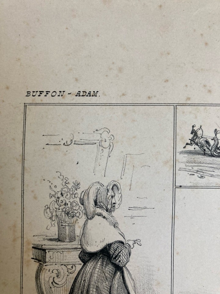 Beautiful Lithograph Leda Swan Jupiter Buffon 19th Century Print ...