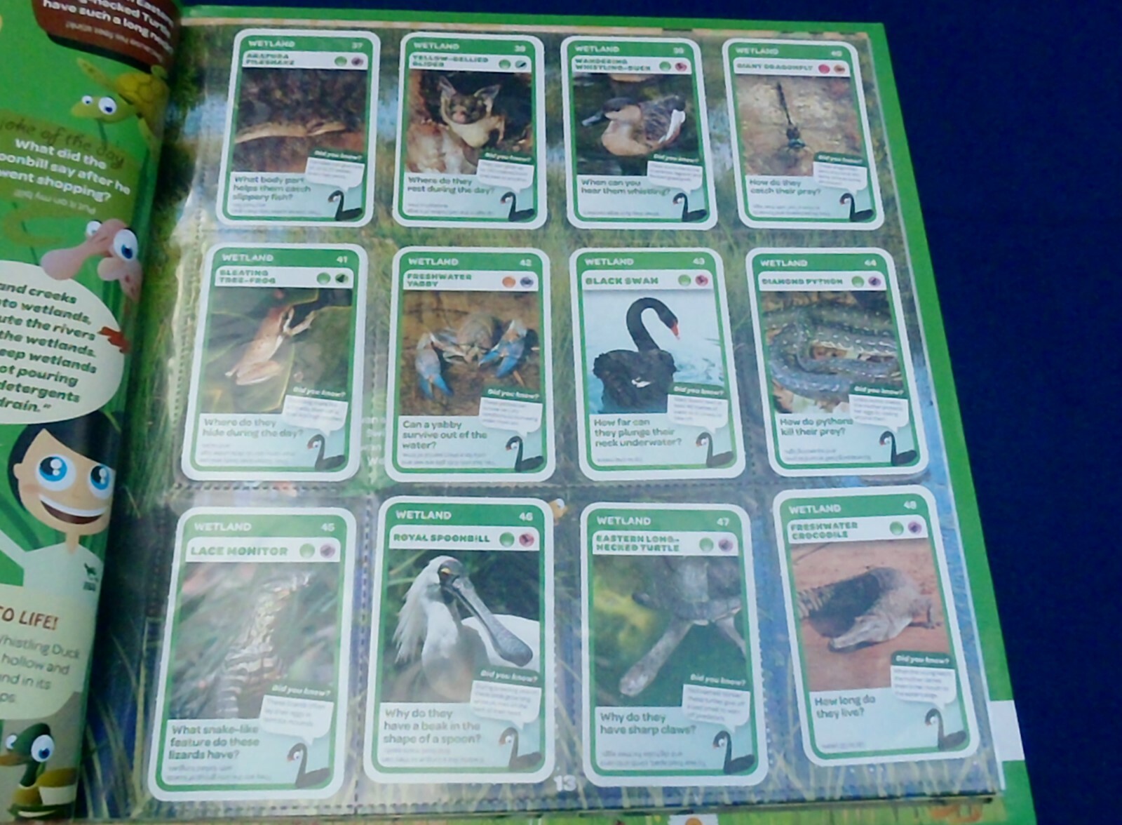 Woolworths Aussie Animal Cards (Green) - Sold Separately - NEW - 4 ...