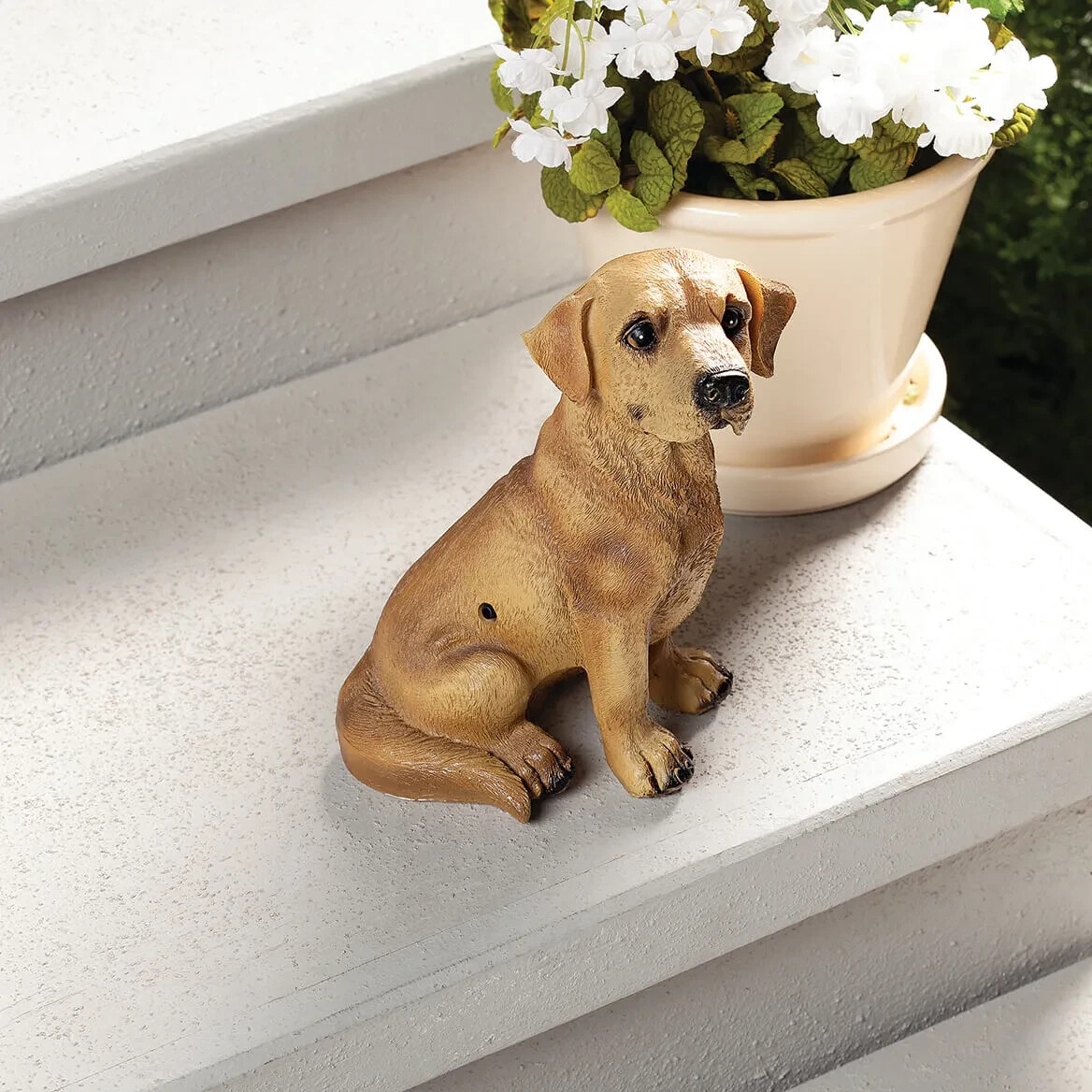 Outdoor Motion Sensor Barking Dog Barking Alarm Motion Detector