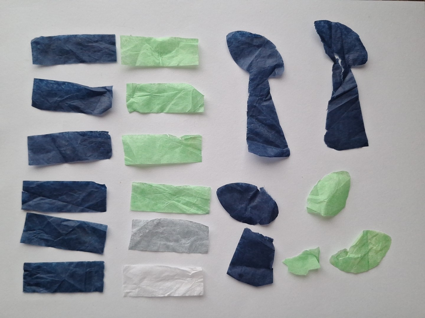 Seattle Seahawks Super Bowl LX 60 Confetti Champions NFL