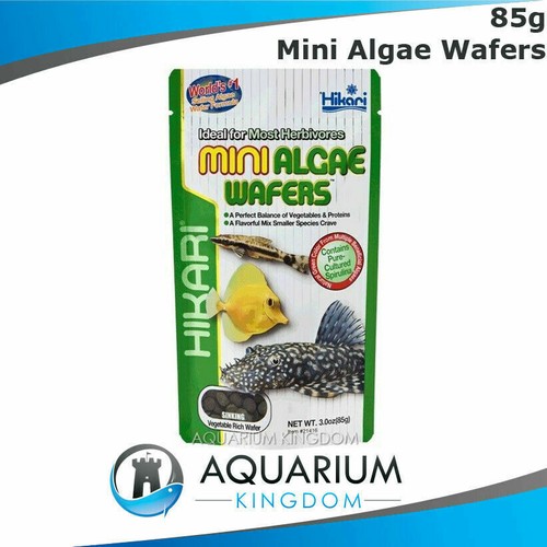 Hikari Mini Algae Wafers 85g Sinking Wafer Disc Food -Tropical, Catfish ...