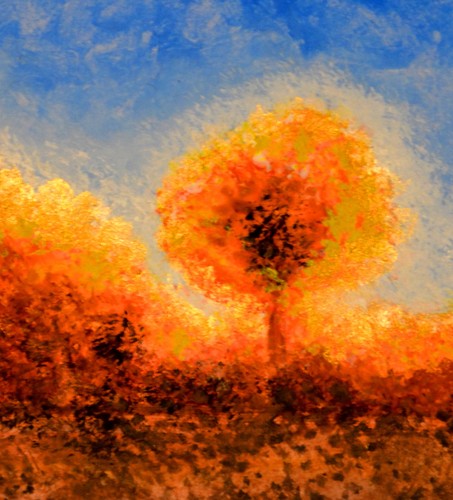 Nottingham The Forest Orange trees autumn approx A3 Print Acrylic ...