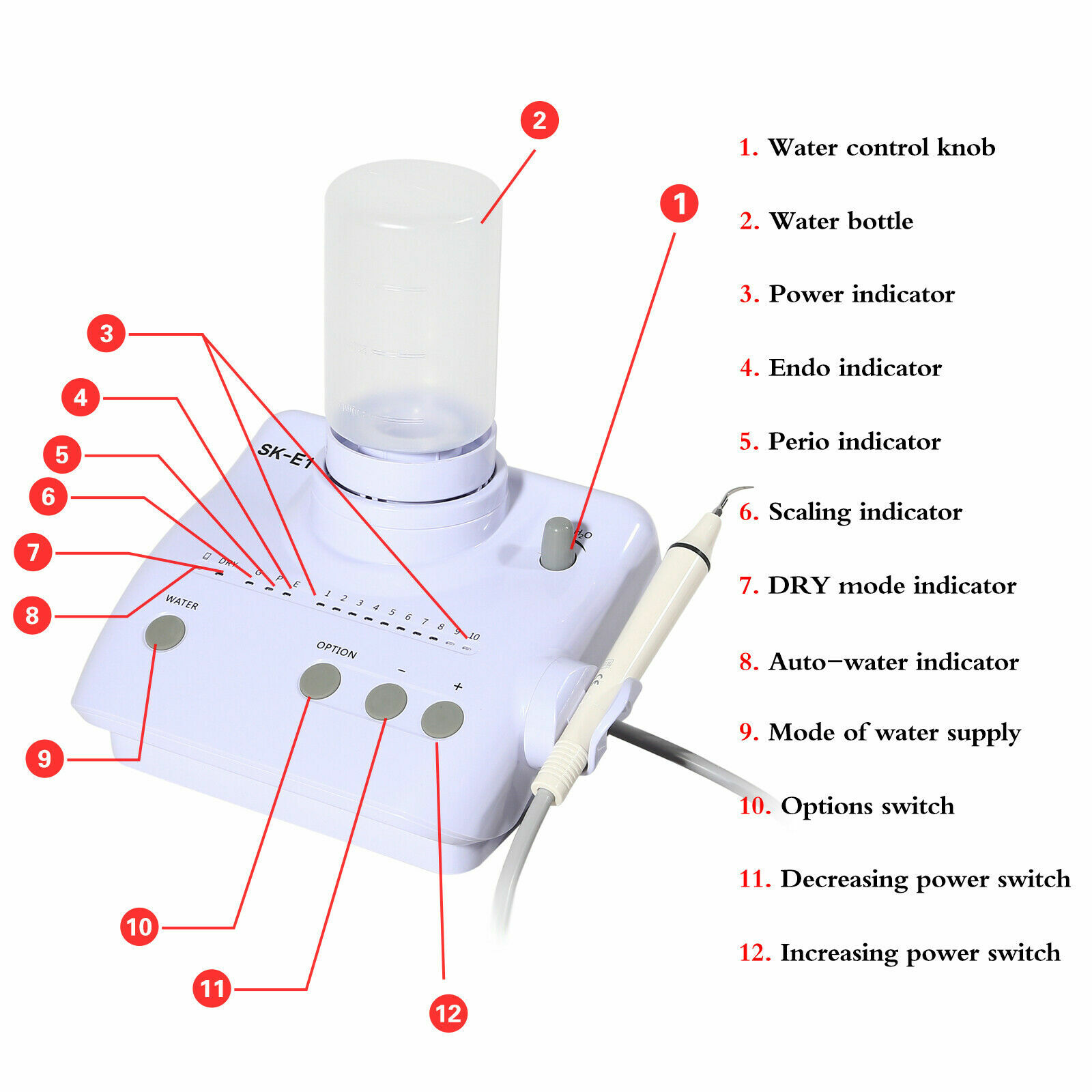 Portable Dental Ultrasonic Piezo Scaler w/ Handpiece Tips Bottles Fit ...