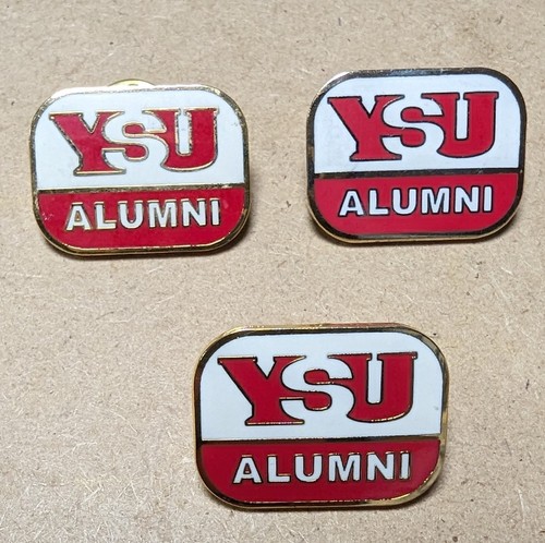 Youngstown State Alumni Pins YSU 3x Lot | eBay