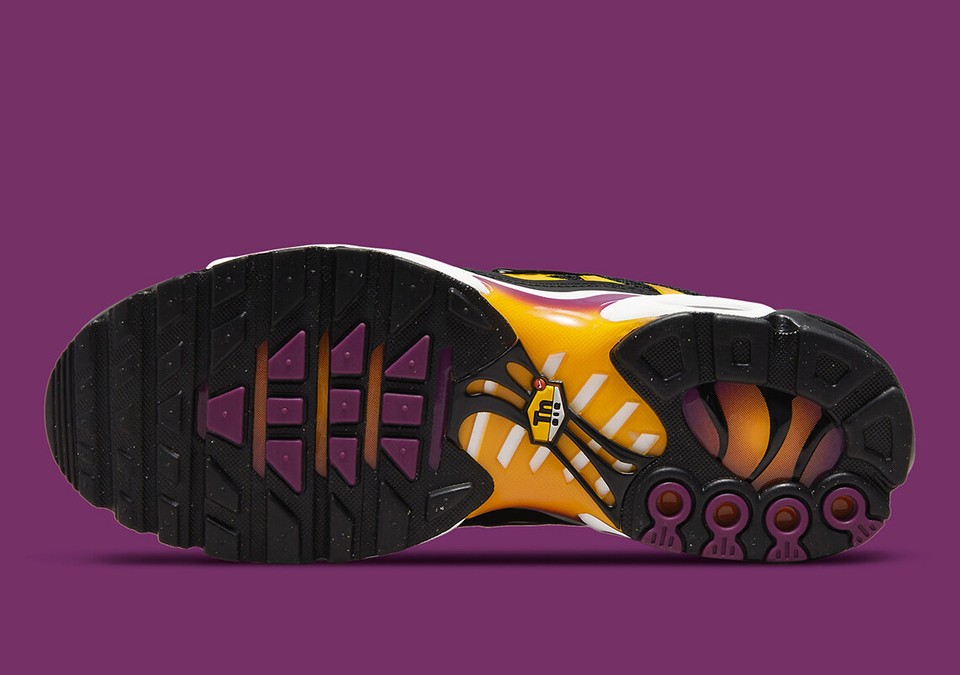 Nike Air Max Plus TN Tuned Viotech Black Gold Purple Summer DX2663-001 ...