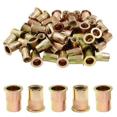 M6 Rivet Nuts 150Pcs Zinc Plated Finish Stainless Steel Flat Head Rivet ...