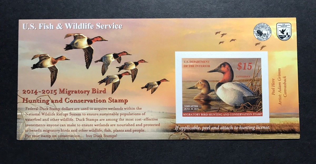 2015 Federal Duck Stamp Artist