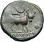 CASTULO Spain 2nd Century BC Male Bull Authentic Ancient Greek Coin ...