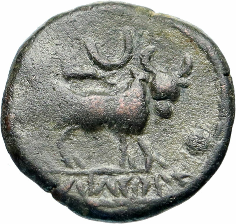 CASTULO Spain 2nd Century BC Male Bull Authentic Ancient Greek Coin ...