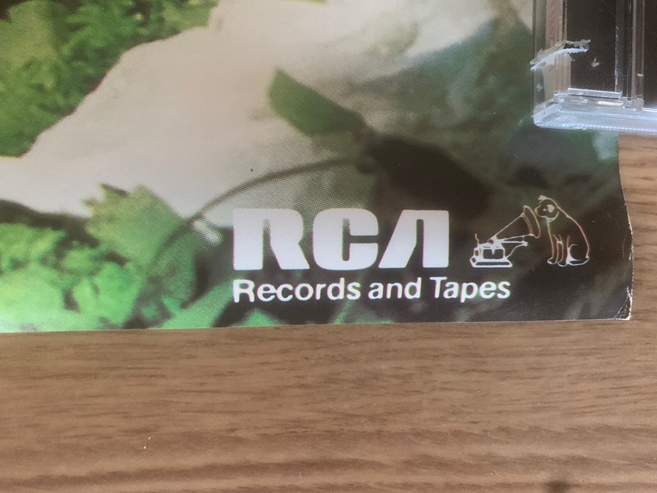 Bow Wow Wow 1981 See Jungle! See Jungle! Promo Poster Annabella Lwin | eBay