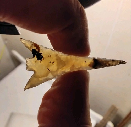 Native American Translucent Arrowhead Bird Point Oregon Washington ...