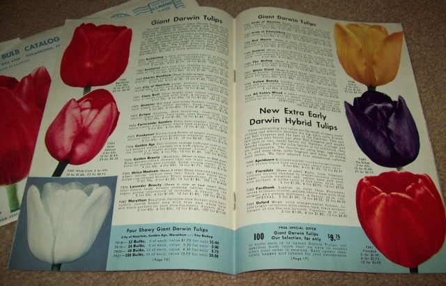 1957 Fall Bulb Catalog Atlee Burpee Philadelphia PA | eBay