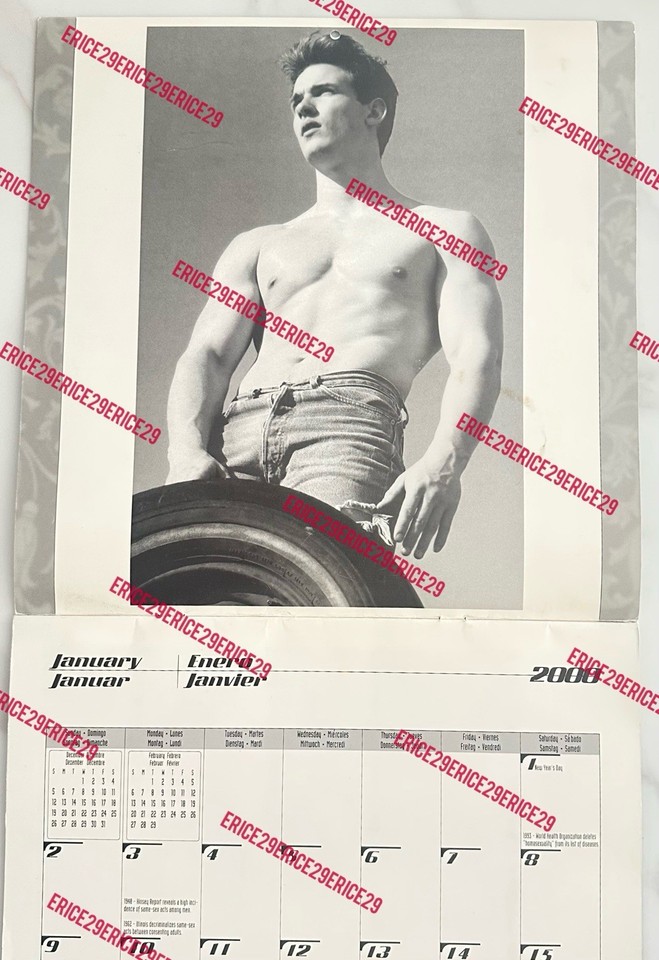 Howard Roffman 2000 Calendar 12” x 12” Gay Interest Muscular Beefcakes ...