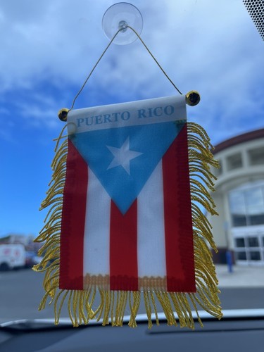 12 PUERTO RICO MINI FLAG BANNER CAR REARVIEW MIRROR LIGHT BLUE. A Dozen ...