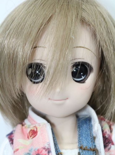 Volks DD Dollfie Dream DDH-04 Head & MDD F3 Body BJD Doll w/ Eye Wig ...
