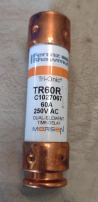Mersen-Ferraz Shawmut TR60R RK5 60A 250VAC Dual Element Time Delay Fuse ...