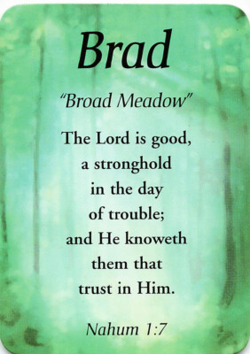 Brad "Broad Meadow" Keepsake Name Meaning Card with Verse | eBay