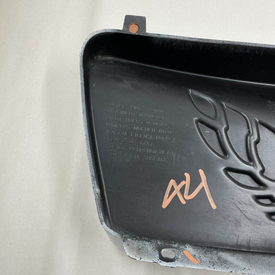 1998-2002 Pontiac Firebird Trans Am Front License Plate Cover Insert ...