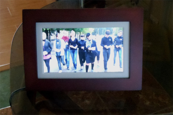 ViewSonic 7" Digital Picture Frame VFA720w-10 | eBay