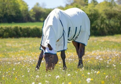 Shires Highlander Plus Sweet-Itch Combo Rug | eBay UK