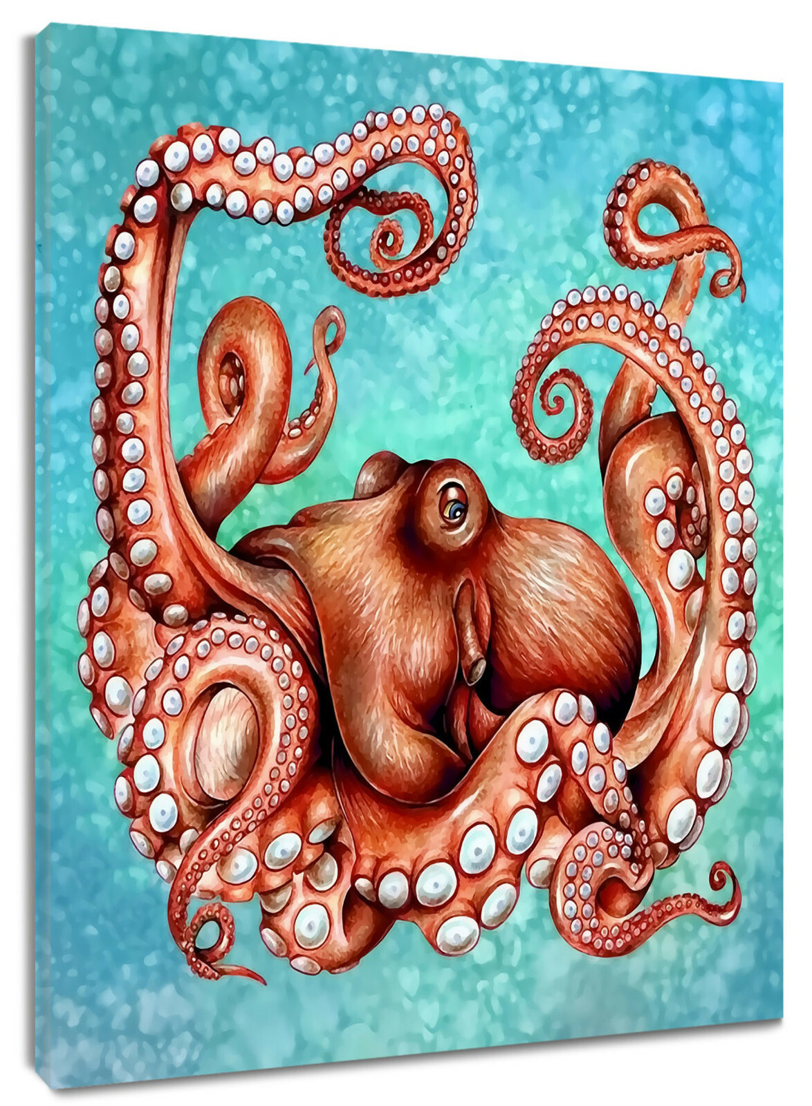 Abstract Octopus Drawing