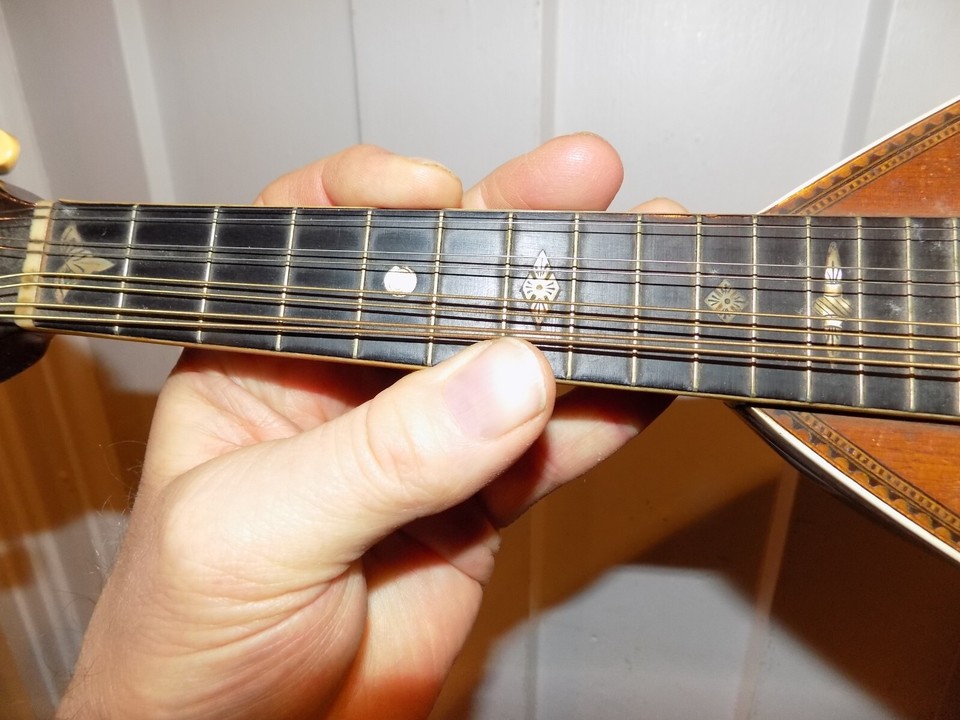 Vintage Washburn 8 String Bowl Back Mandolin | eBay