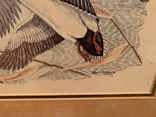 ARTIST Gene Murray- Ducks In Flight PRINT FRAMED SIGNED 20" X 16" | eBay