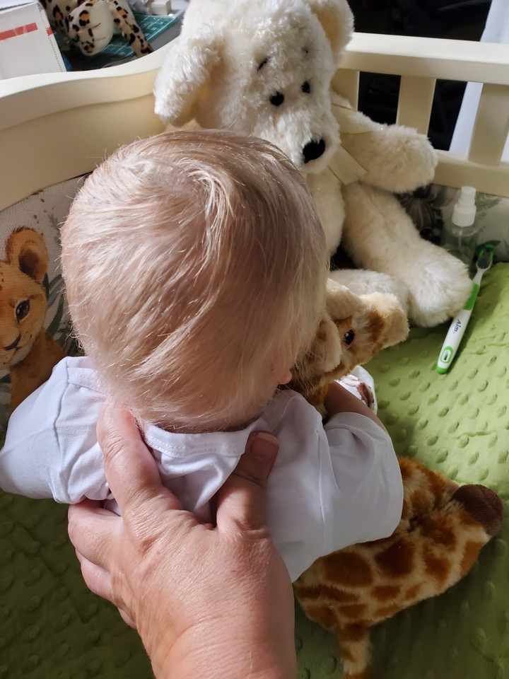Reborn Canon Baby Doll Lifelike Newborn | eBay