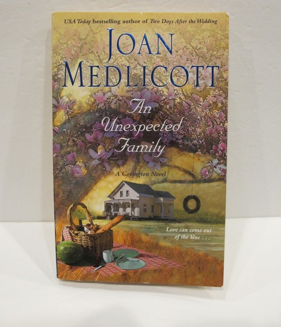 An Unexpected Family by Joan Medlicott (2007, Trade Paperback) for sale ...