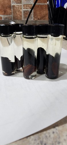 Tonka Bean Oil Love Money Hoodoo Voodoo Wiccan Pagan | eBay