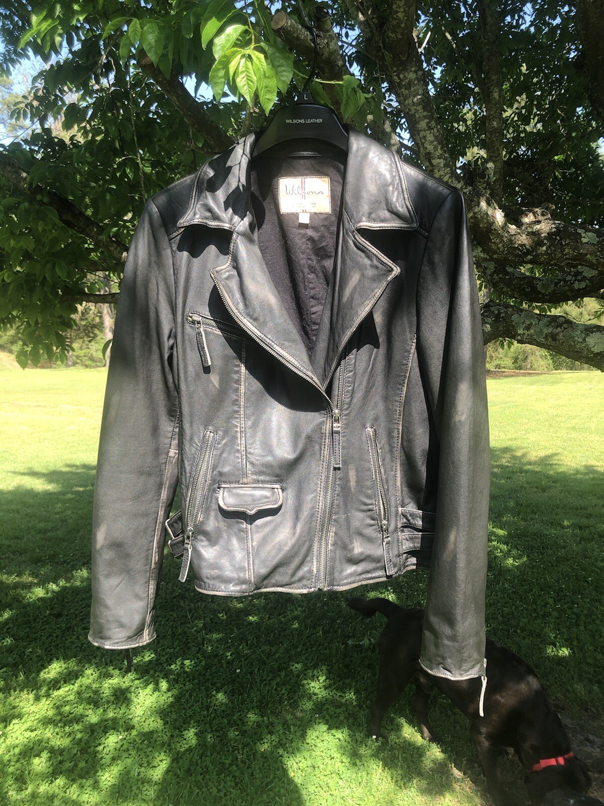 Wilson leather Jacket - Gem