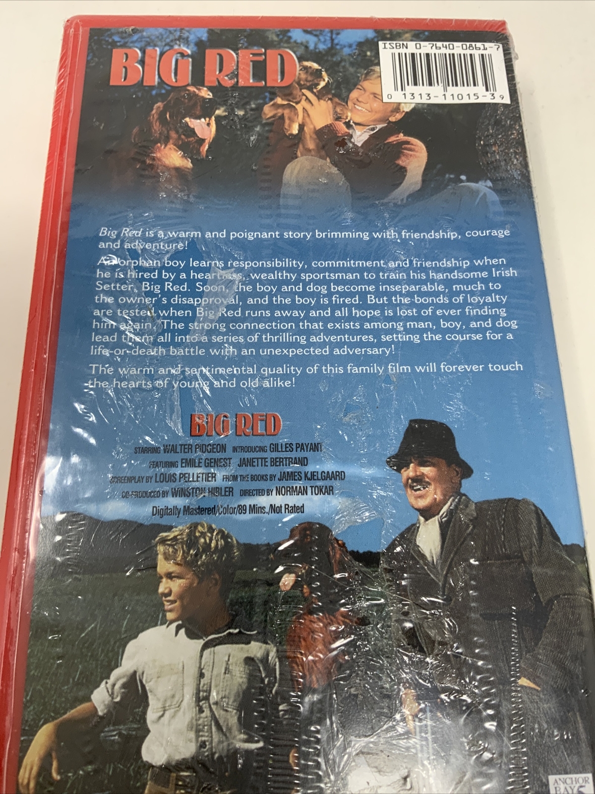 BIG RED (1962) RARE Disney/Anchor Bay VHS- Walter Pidgeon & Gilles ...