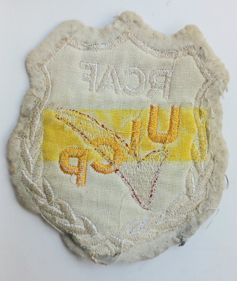 Canadian RCAF Unit Instrument Check Pilot UICP Patch Crest Used ...