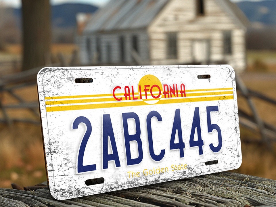Custom State License Plate | Personalized 50 States | Vintage or Clean ...