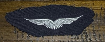 West German Patch Bundeswehr Aircraft Pilot Activity Wings Insignia Air ...