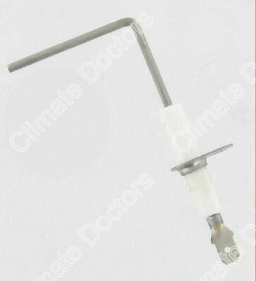 Rheem Ruud 62-23543-02 Flame Sensor | eBay
