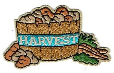 Girl Boy Cub summer Fall HARVEST Bounty Garden Fun Patches Badges ...