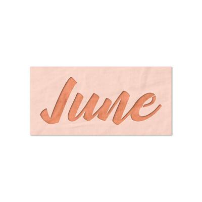 June Stencil - Reusable Mylar Plastic for DIY Crafts, Painting ...