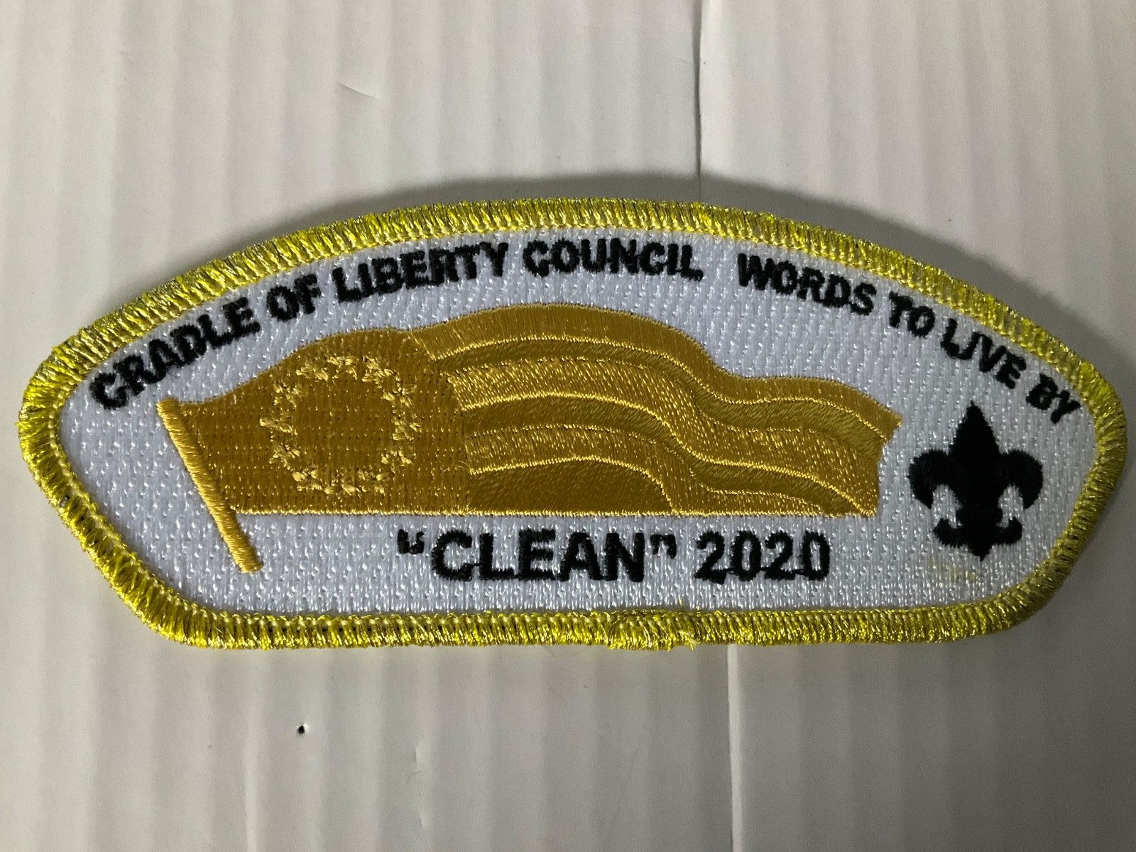 Cradle of Liberty Council FOS CSP GOLD Mylar Border 2020 Clean | eBay