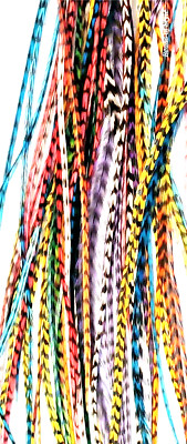25 Feather Hair Extensions Whiting Grizzly Rooster Saddle Hackle 8-12 ...