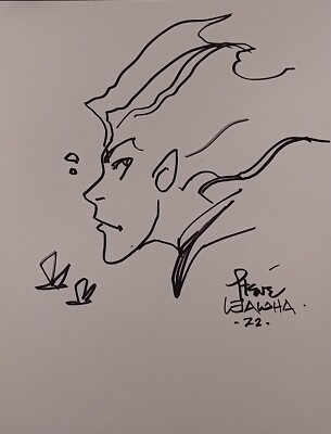 Steve leialoha signed sketch | eBay