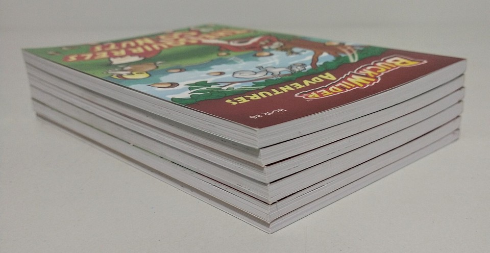 Buck Wilder Adventures Complete Set Books 1-6 NICE! Who Stole The ...