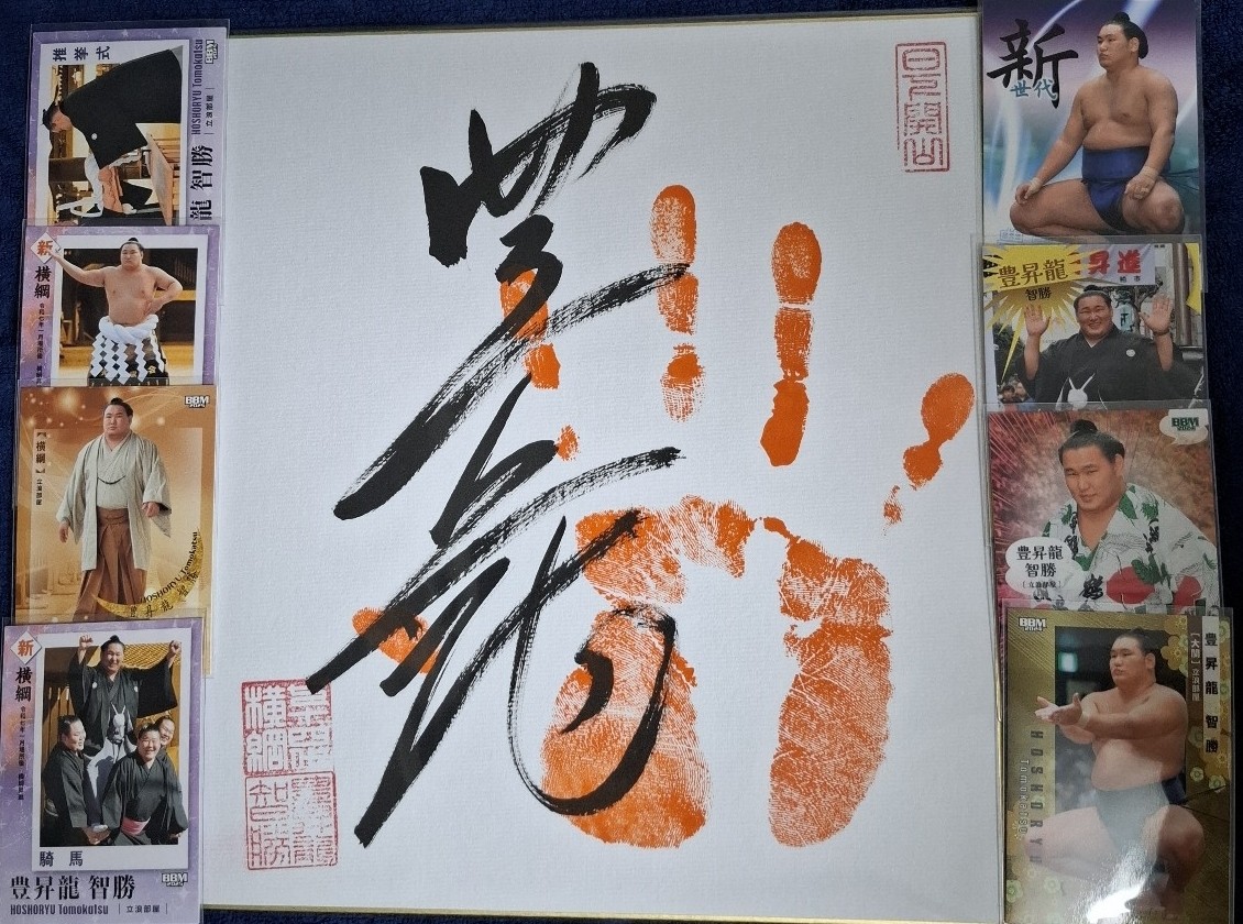 Hoshoryu Sumo Wrestling Handprint Colored Paper Art Collectible | eBay