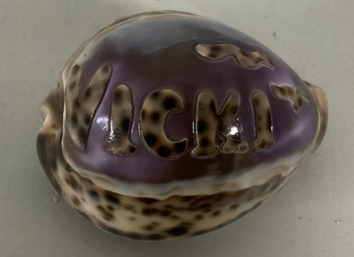 Hand-Carved Hawaiian “Vicki” Cowrie Shell | eBay