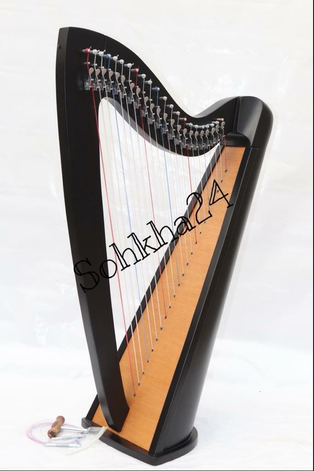 22 Strings Black Round Shape Harp with Levers,Extra Strings,Bag & Key ...