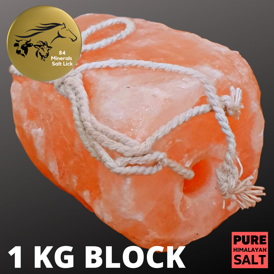 12X Himalayan salt lick Rock For Cattle Livestock Horse Blocks of 1-1.5 ...