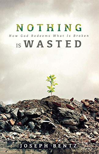 Nothing Is Wasted: How God Redeems What Is Broken - Paperback NEW ...